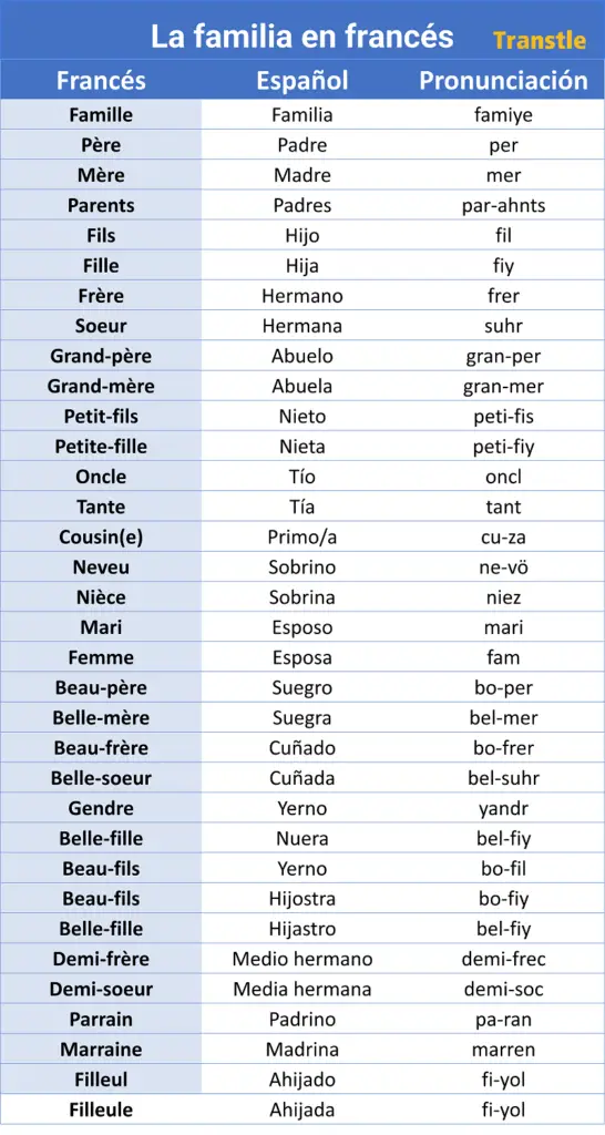 La Familia en Francés: Vocabulario Completo y Ejercicios La Familia en Francés: Vocabulario Completo y Ejercicios